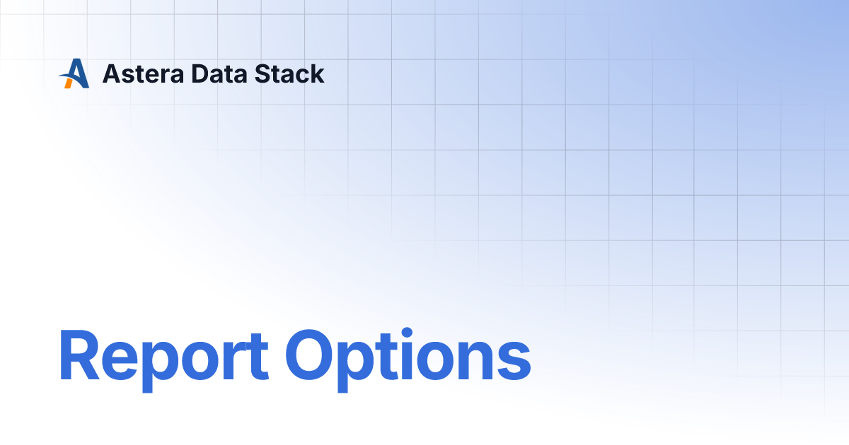 Report Options | Astera Data Stack